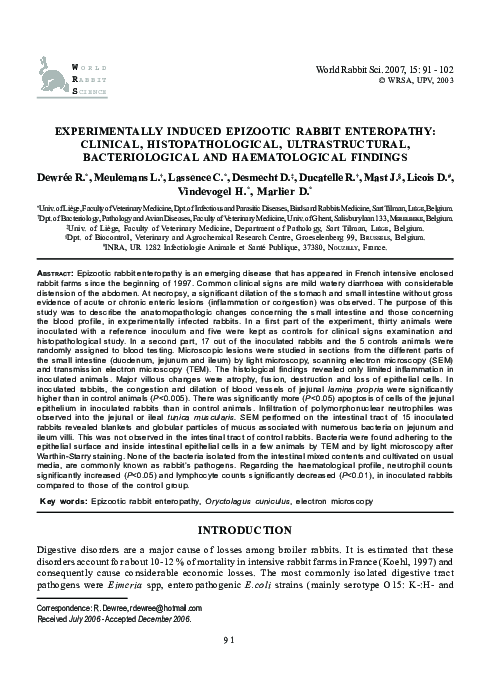 (PDF) Experimentally induced epizootic rabbit enteropathy: clinical ...