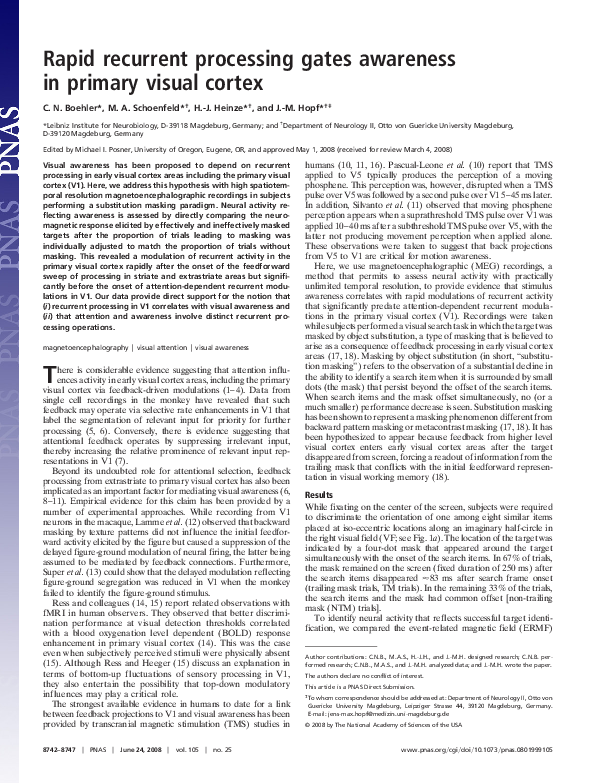 Pdf Rapid Recurrent Processing Gates Awareness In Primary Visual Cortex