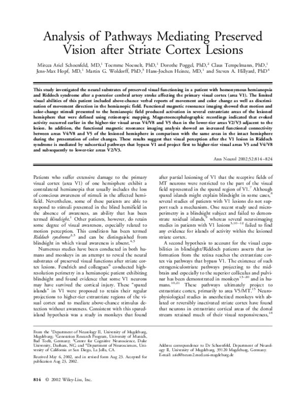 (PDF) Analysis of pathways mediating preserved vision after striate ...