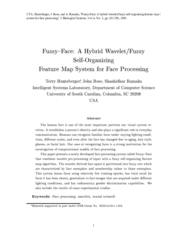 (PDF) Fuzzy-Face: a hybrid wavelet/fuzzy self-organizing feature map system for face processing