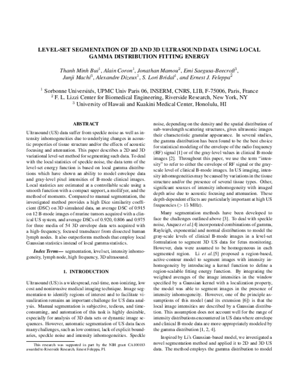 Pdf Level Set Segmentation Of 2d And 3d Ultrasound Data Using Local Gamma Distribution Fitting