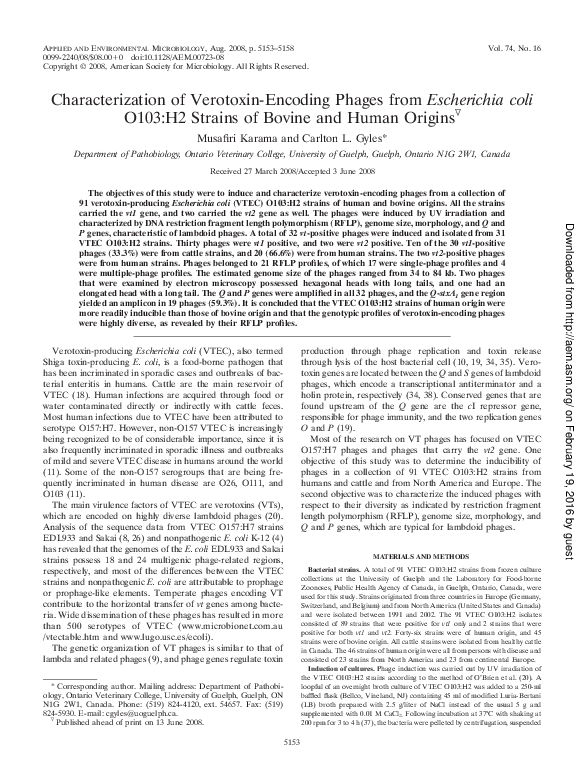 (PDF) Characterization of Verotoxin-Encoding Phages from Escherichia ...