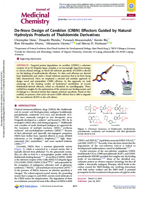 (PDF) De-novo design of cereblon (CRBN) effectors guided by natural ...