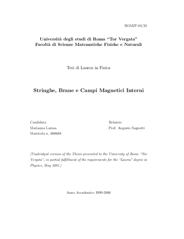 (PDF) Stringhe, brane e campi magnetici interni