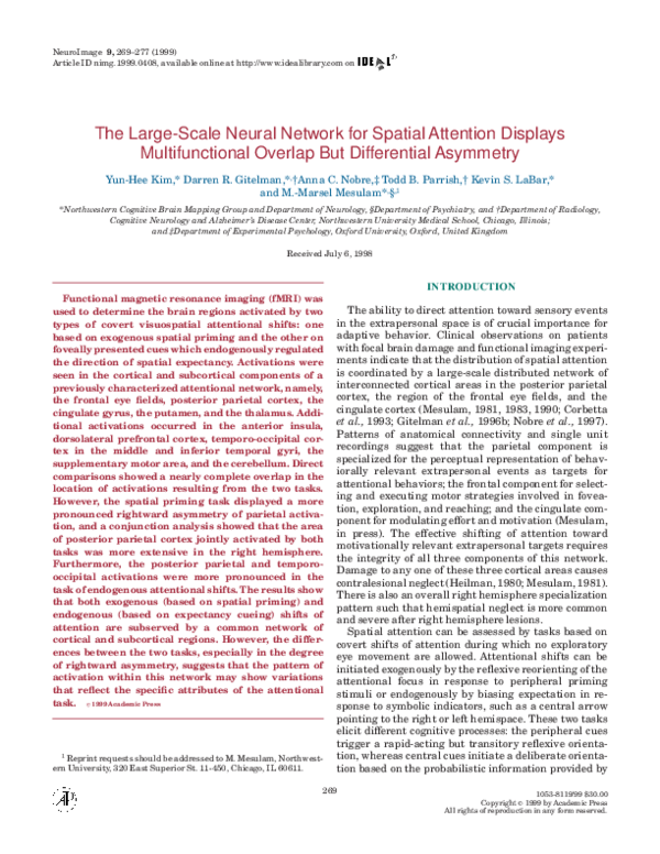 (PDF) The Large-Scale Neural Network for Spatial Attention Displays Multifunctional Overlap But ...