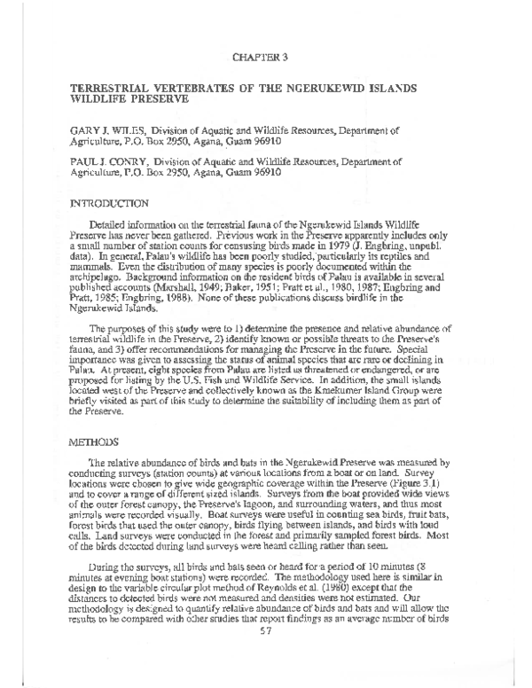 (PDF) Terrestrial vertebrates of the Ngerukewid Islands Wildlife ...