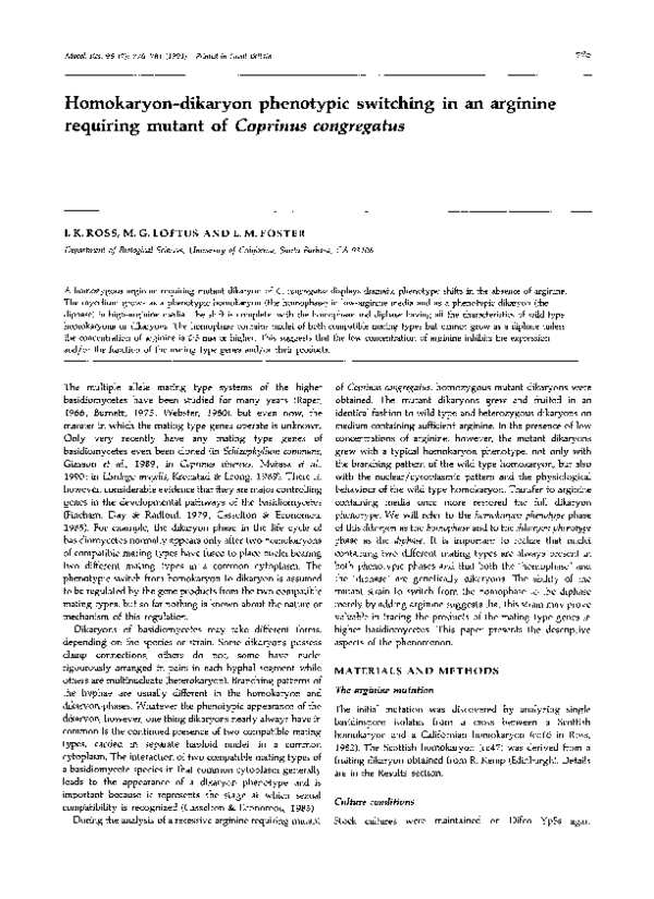 (PDF) Homokaryon-dikaryon phenotypic switching in an arginine requiring ...
