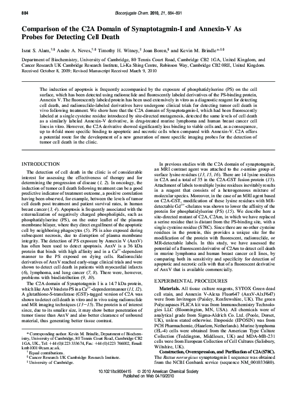 (PDF) Comparison of the C2A domain of synaptotagmin-I and annexin-V as probes for detecting cell ...
