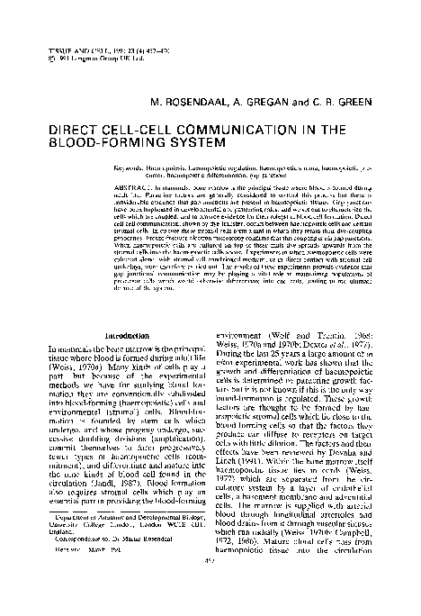 (PDF) Direct cell-cell communication in the blood-forming system