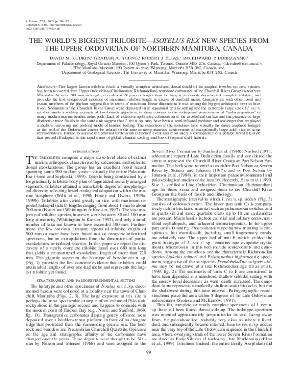 (PDF) THE WORLD'S BIGGEST TRILOBITE--ISOTELUS REX NEW SPECIES FROM THE ...