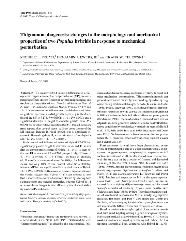 (PDF) Thigmomorphogenesis: changes in the morphology and mechanical ...
