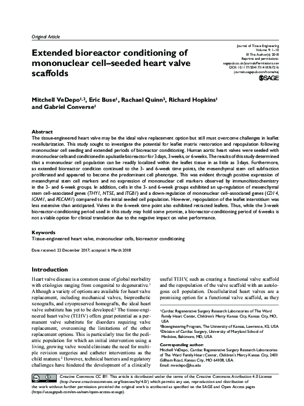 (PDF) Extended bioreactor conditioning of mononuclear cell–seeded heart valve scaffolds