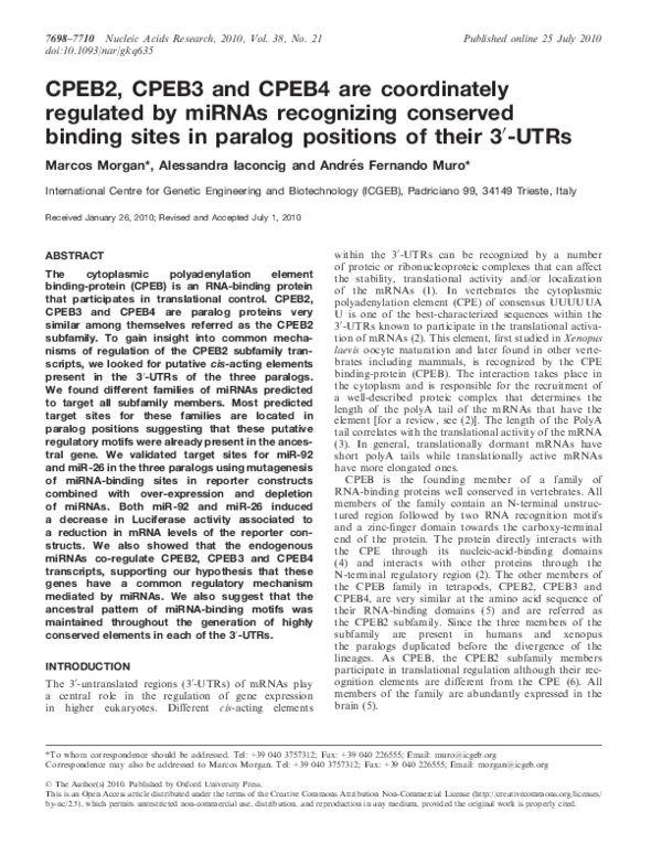 (PDF) CPEB2, CPEB3 and CPEB4 are coordinately regulated by miRNAs recognizing conserved binding ...