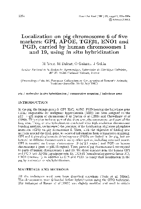 (PDF) Localization on pig chromosome 6 of five markers: GPI, APOE ...