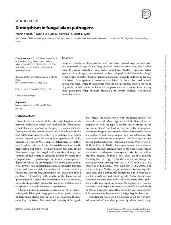 (PDF) Dimorphism in fungal plant pathogens