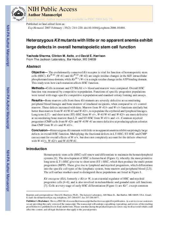 (PDF) Heterozygous Kit Mutants with Little or No Apparent Anemia ...