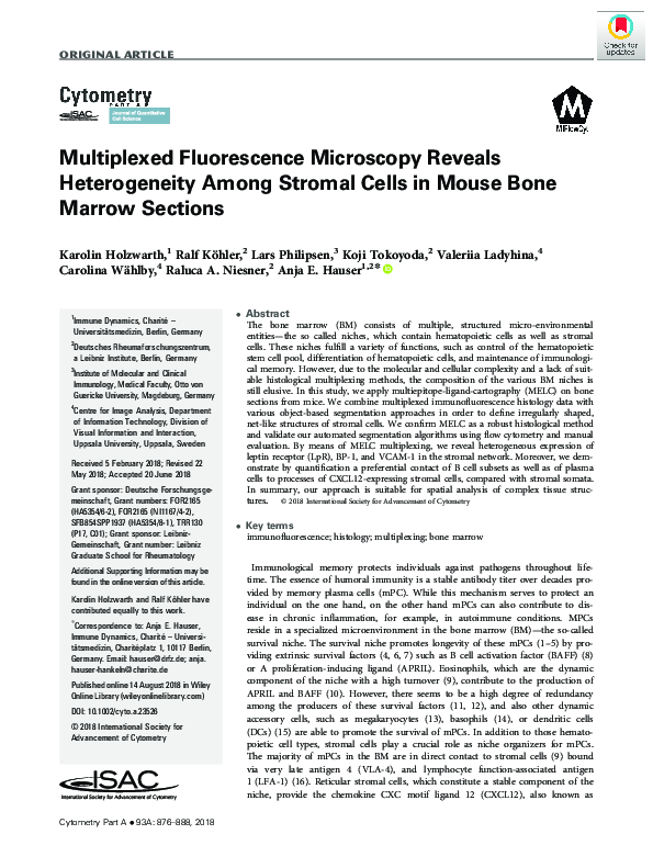 (PDF) Multiplexed fluorescence microscopy reveals heterogeneity among ...