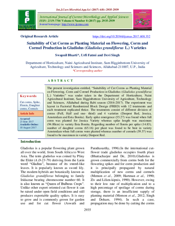 (PDF) Suitability of Cut Corms as Planting Material on Flowering, Corm ...