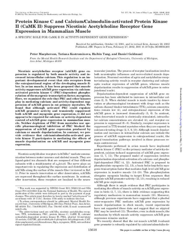 (PDF) Protein Kinase C and Calcium/Calmodulin-activated Protein Kinase ...
