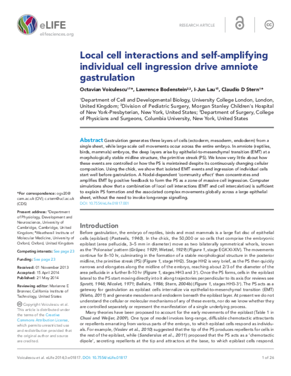 (PDF) Local cell interactions and self-amplifying individual cell ...