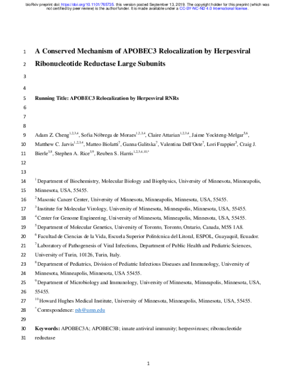 (PDF) A Conserved Mechanism of APOBEC3 Relocalization by Herpesviral ...