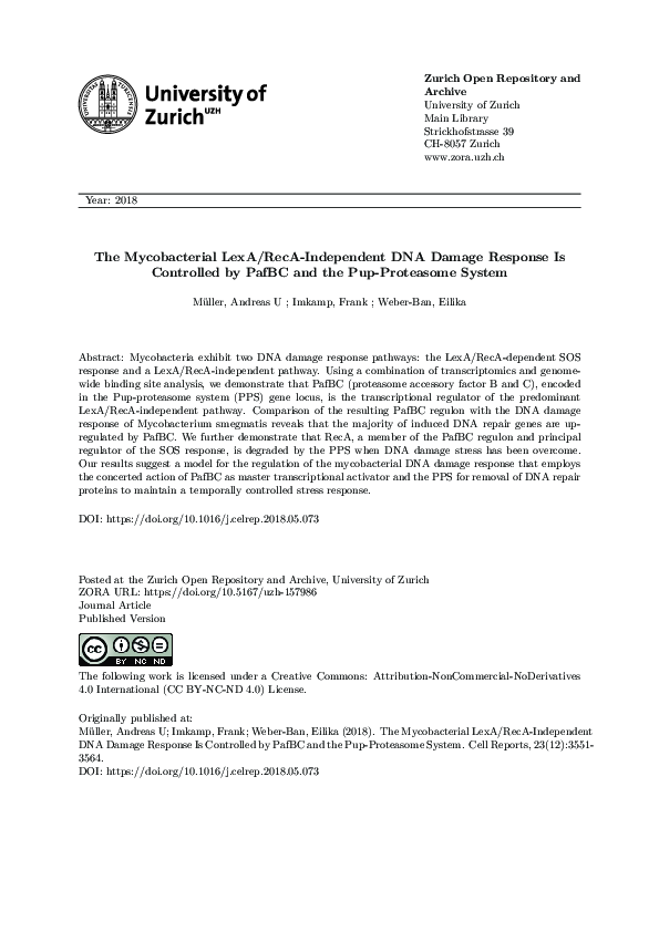 (PDF) The Mycobacterial LexA/RecA-Independent DNA Damage Response Is ...
