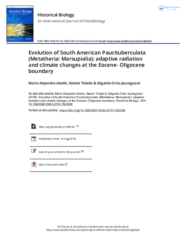 (PDF) Evolution of South American Paucituberculata (Metatheria ...