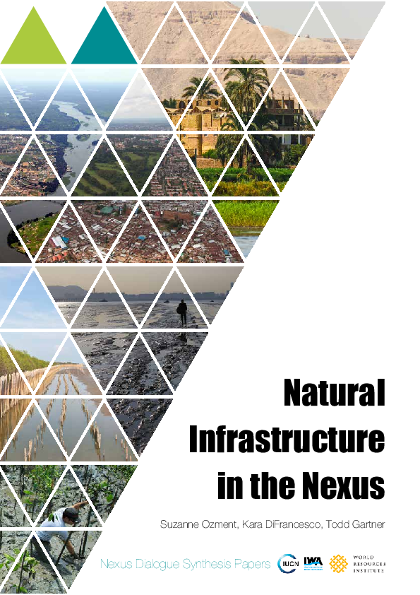 (PDF) Natural infrastructure in the nexus