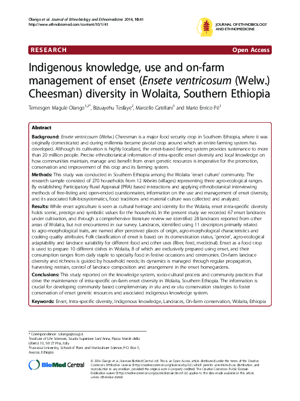 (PDF) Indigenous knowledge, use and on-farm management of enset (Ensete ...