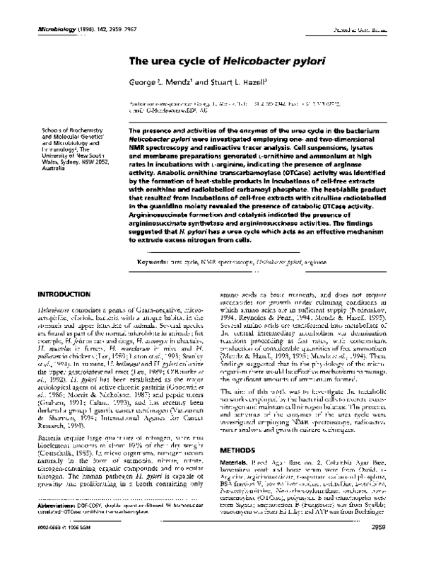 (PDF) The urea cycle of Helicobacter pylori