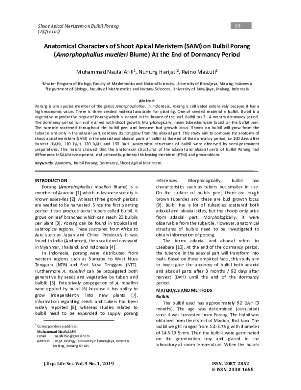 (PDF) Anatomical Characters of Shoot Apical Meristem (SAM) on Bulbil ...