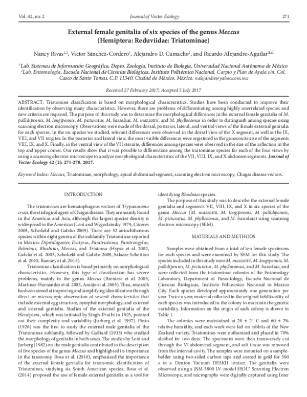 (PDF) External female genitalia of six species of the genus Meccus ...