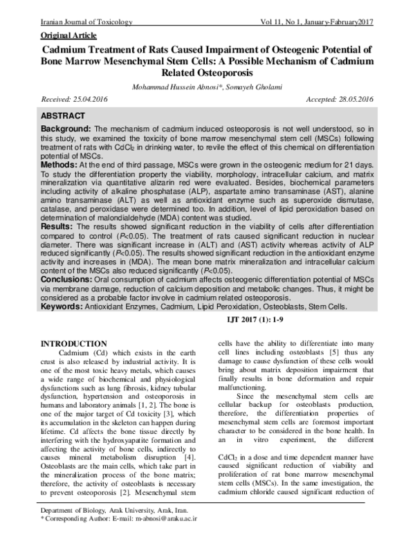 (PDF) Cadmium treatment of rats caused impairment of osteogenic ...