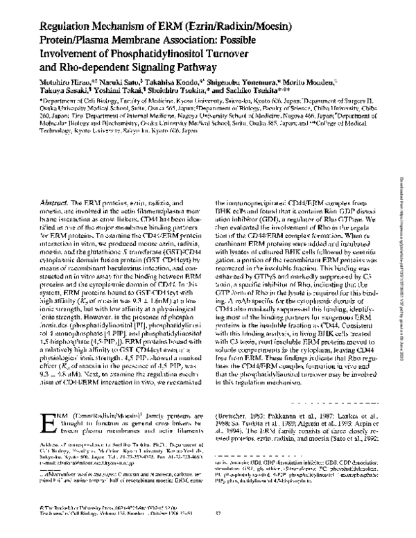 (PDF) Regulation mechanism of ERM (ezrin/radixin/moesin) protein/plasma ...