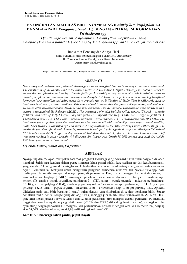 (PDF) PENINGKATAN KUALITAS BIBIT NYAMPLUNG (Calophyllum inophyllum L ...