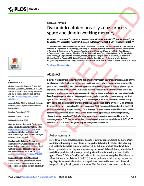 (PDF) Dynamic frontotemporal systems process space and time in working memory