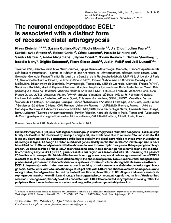 (PDF) The neuronal endopeptidase ECEL1 is associated with a distinct ...