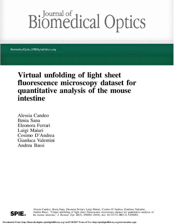 (PDF) Virtual unfolding of light sheet fluorescence microscopy dataset ...