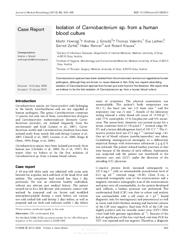 (PDF) Isolation of Carnobacterium sp. from a human blood culture