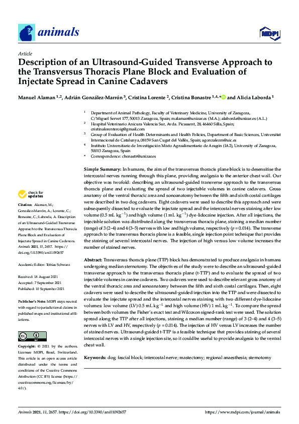 (PDF) Description of an Ultrasound-Guided Transverse Approach to the ...