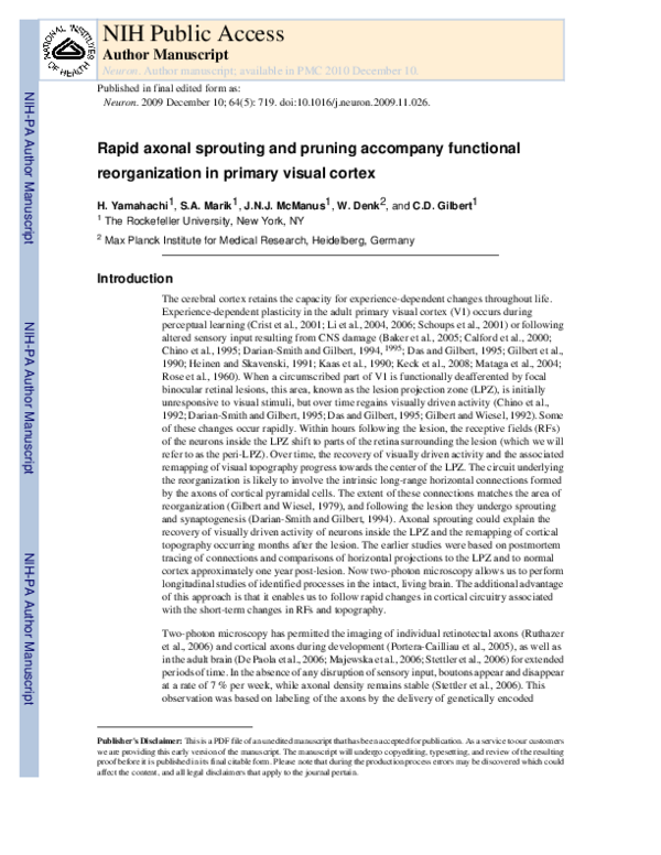 (PDF) Rapid Axonal Sprouting and Pruning Accompany Functional ...