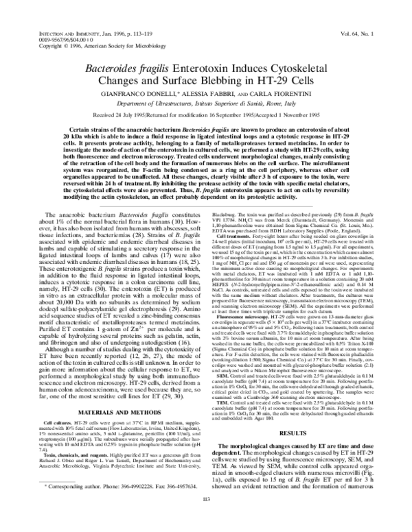 (PDF) Bacteroids fragilis enterotoxin induces cytoskeletal changes and ...