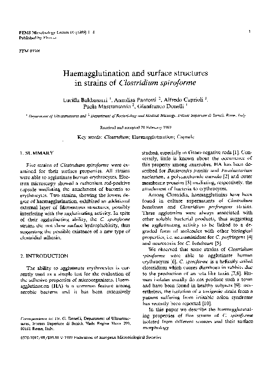 (PDF) Haemagglutination and surface structures in strains of ...