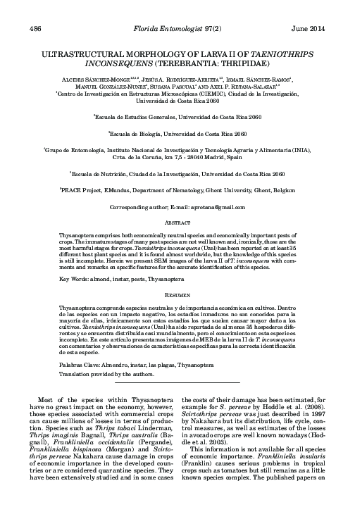 (PDF) Ultrastructural Morphology of Larva II of Taeniothrips ...