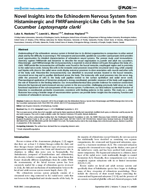 (PDF) Novel Insights into the Echinoderm Nervous System from ...
