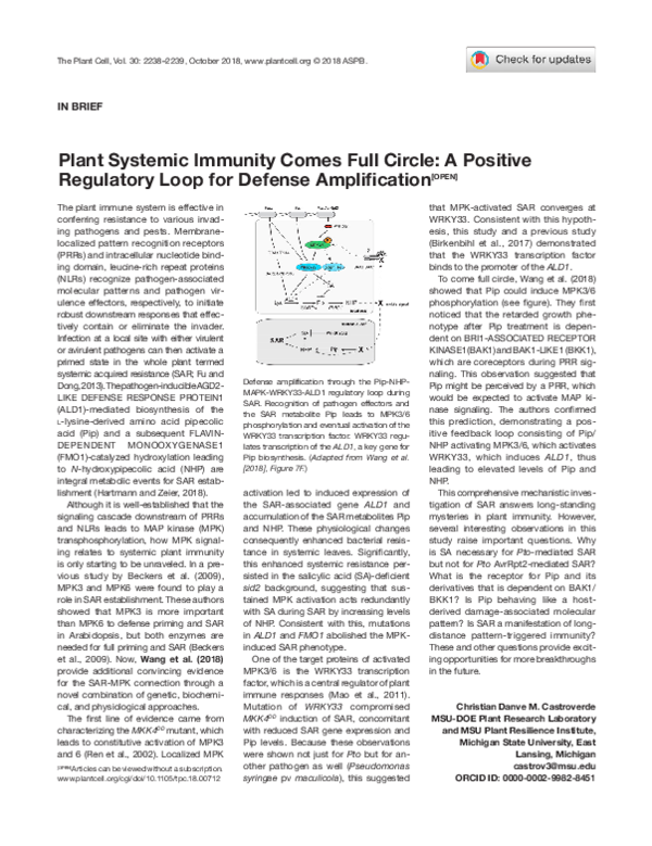 (PDF) Plant Systemic Immunity Comes Full Circle: A Positive Regulatory ...