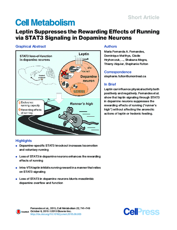 (PDF) Leptin Suppresses the Rewarding Effects of Running via STAT3 ...
