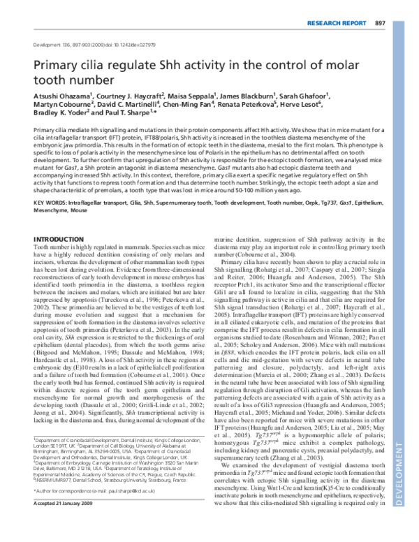 (PDF) Primary cilia regulate Shh activity in the control of molar tooth ...