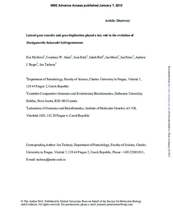 (PDF) Hydrogenosomes in a mixed isolate of Isotricha prostoma and ...