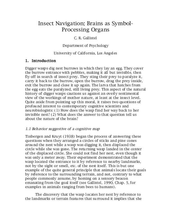 (PDF) Insect Navigation: Brains as Symbol Processing Organs | Randy ...